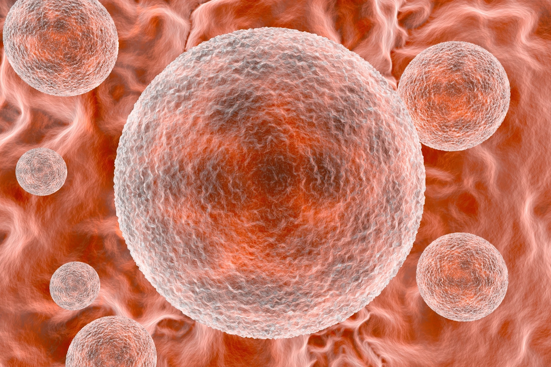 Chlamydia Infection & Symptoms In Women & Men | CityDoc