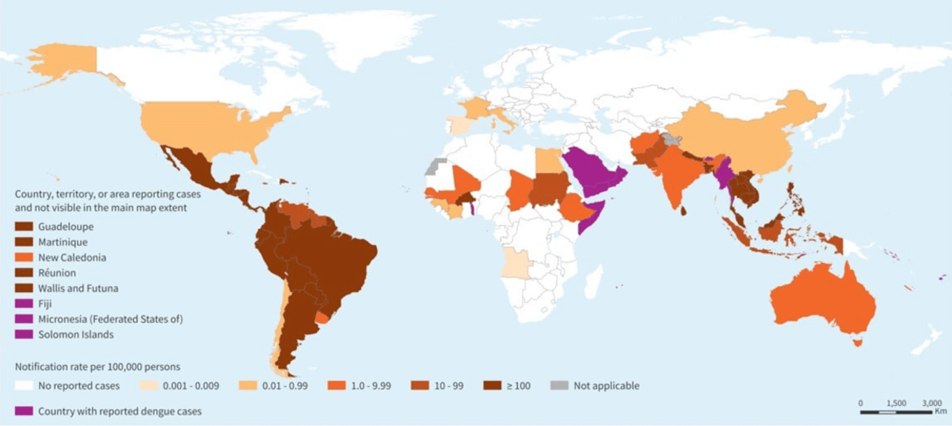 Dengue in South America | CityDoc